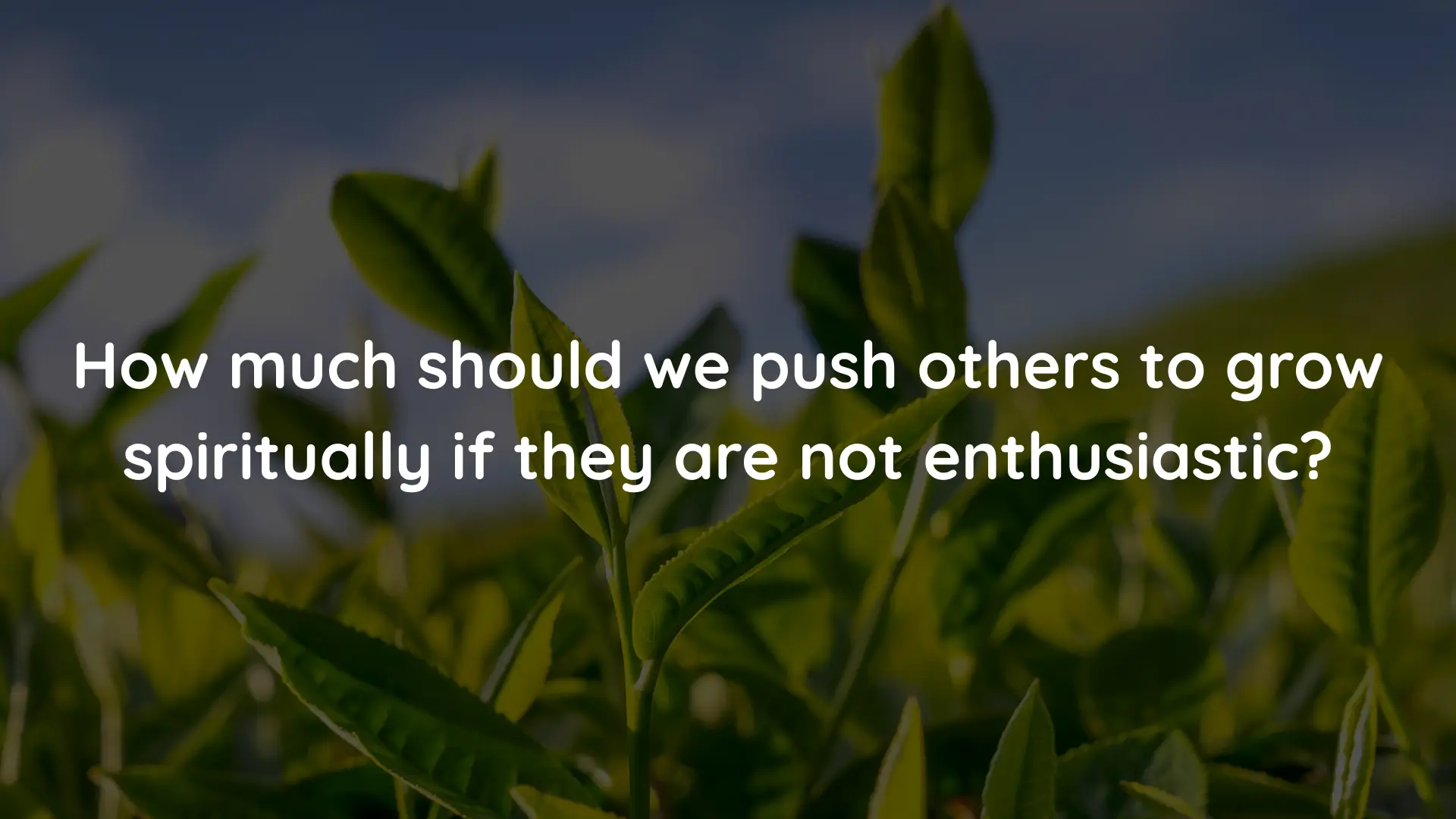 How much should we push others to grow spiritually if they are not ...