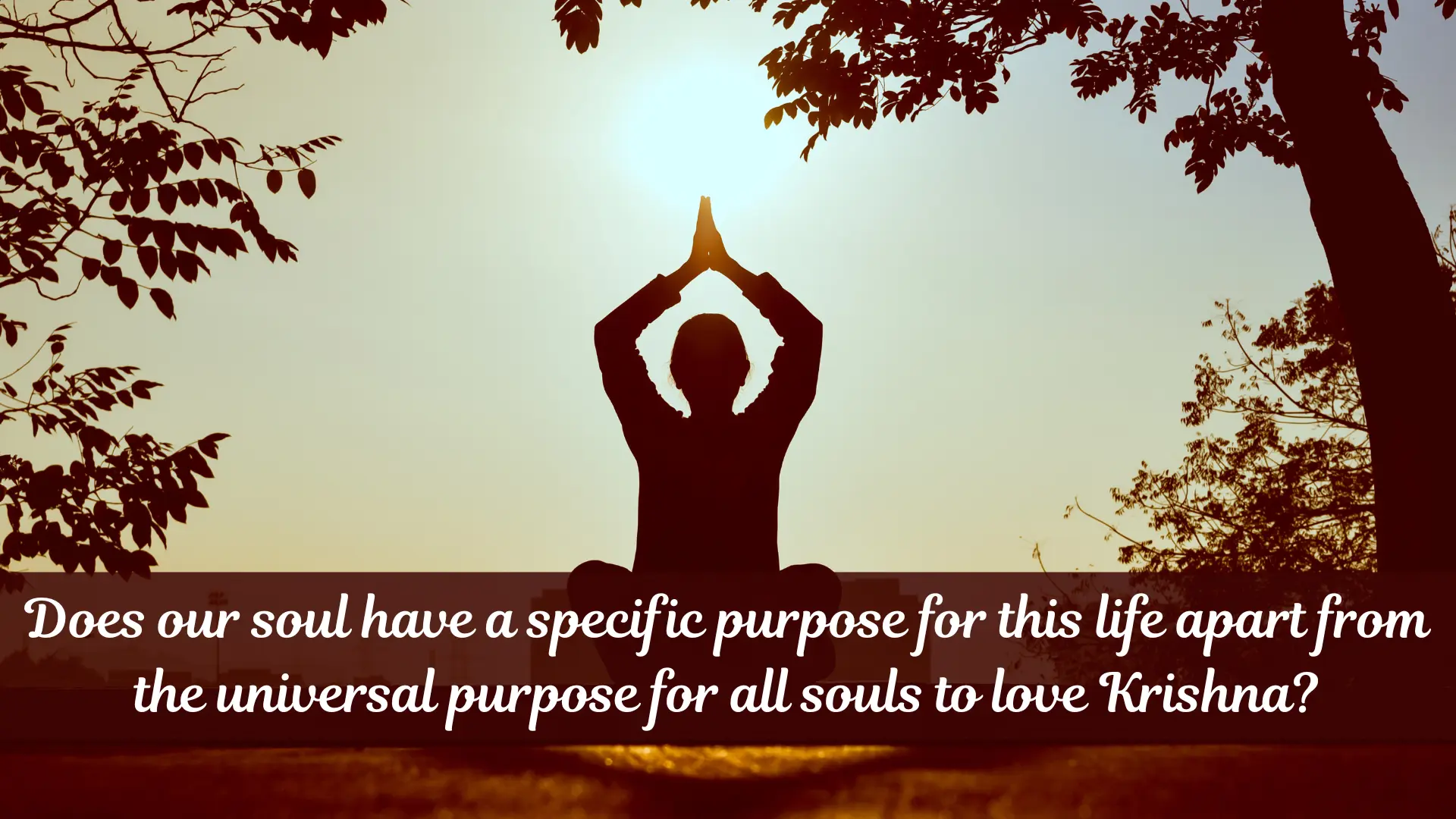 Does our soul have a specific purpose for this life apart from the ...